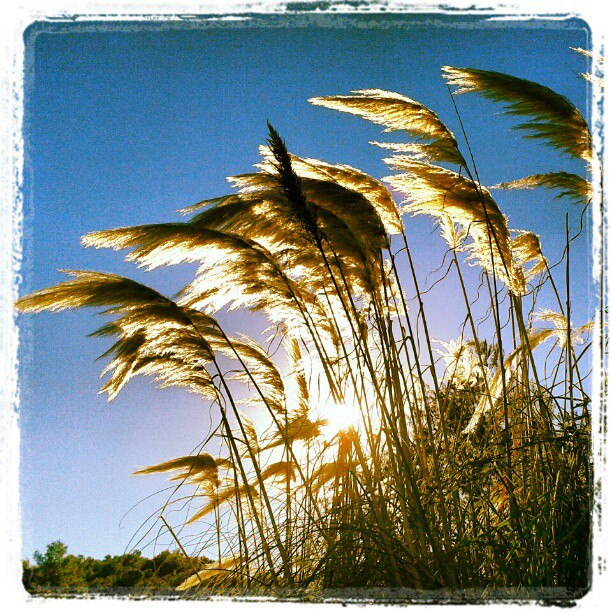 Coger el sol - PINTANDO POEMAS